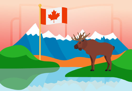 Canadian History since World War I (CHC2D) | Online Courses | Course ...